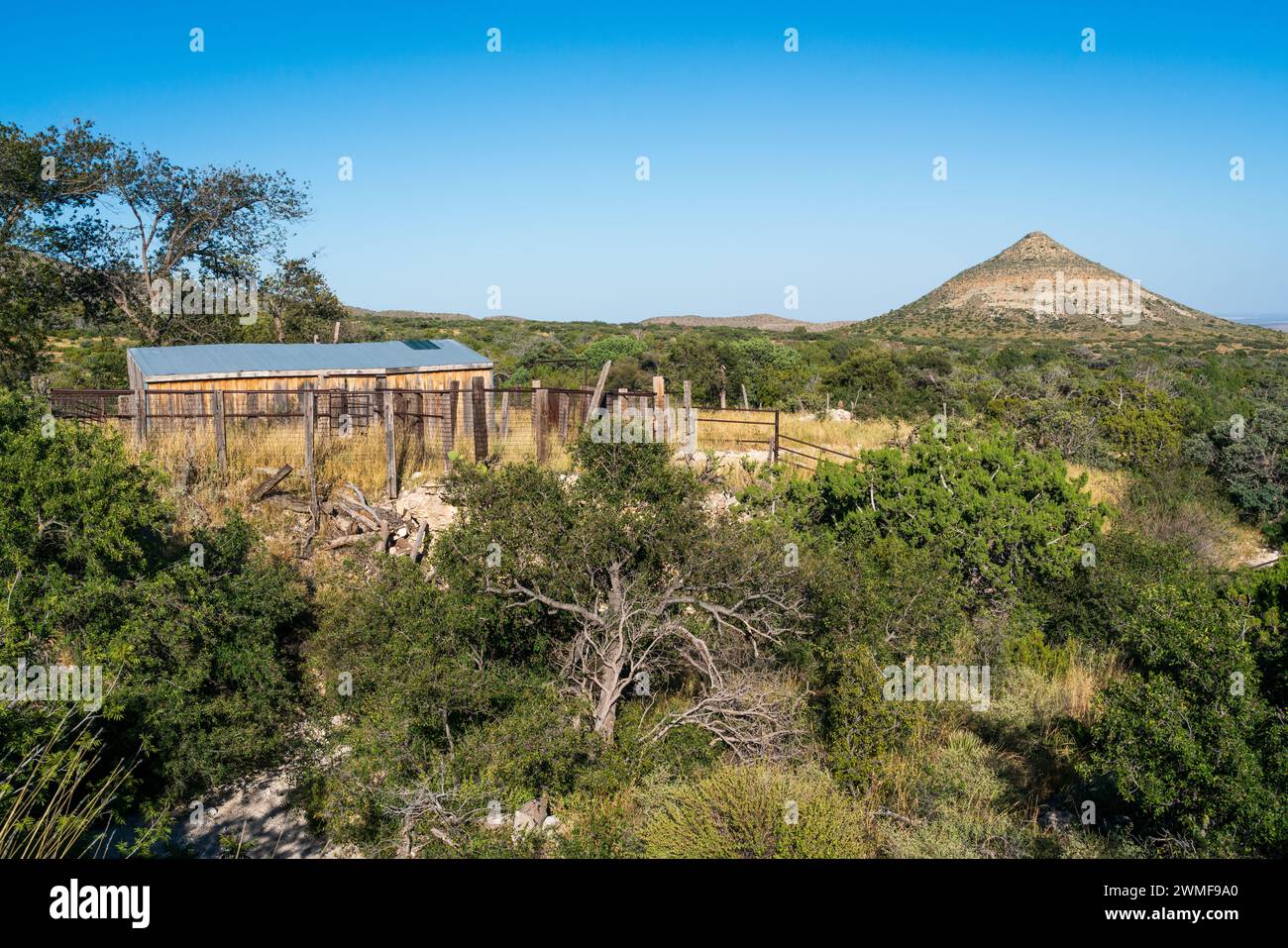 Guadalupe Mountains National Park in Western Texas, USA Stock Photo - Alamy