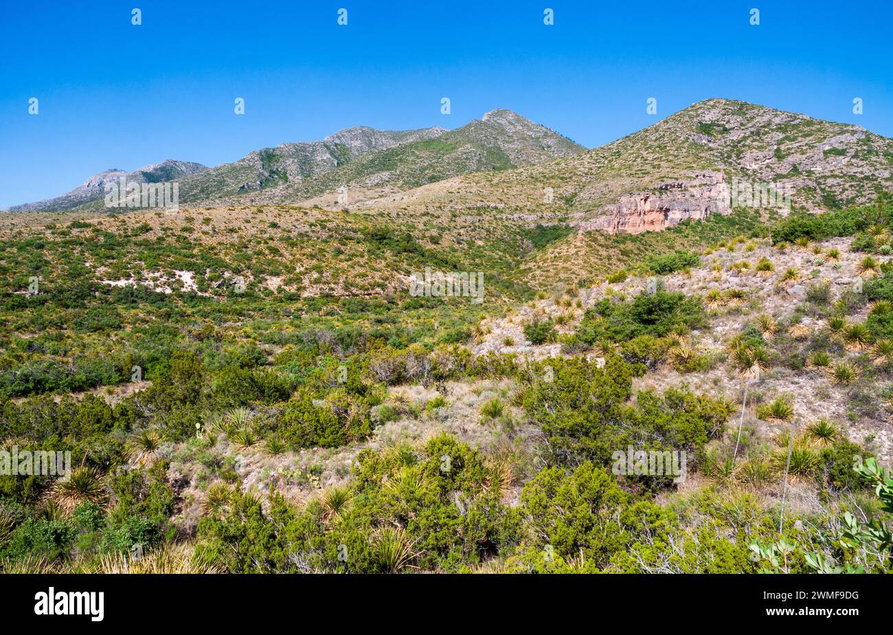 Guadalupe Mountains National Park in Western Texas, USA Stock Photo - Alamy