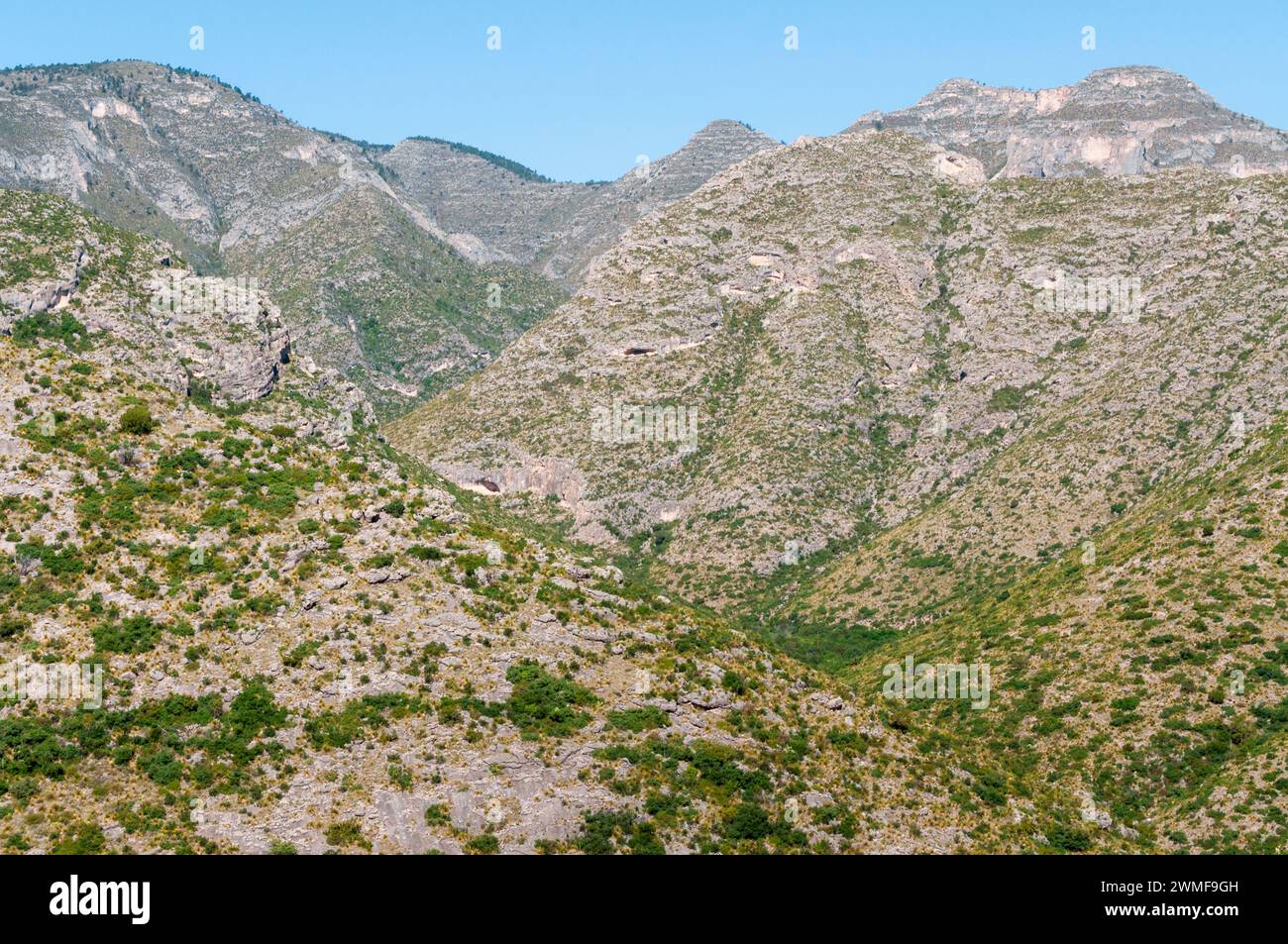 Guadalupe Mountains National Park in Western Texas, USA Stock Photo - Alamy