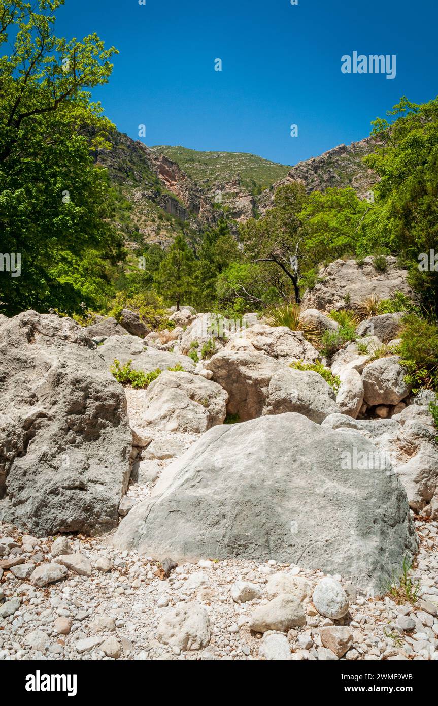 The Devil's Hall Trail at Guadalupe Mountains National Park in Western ...