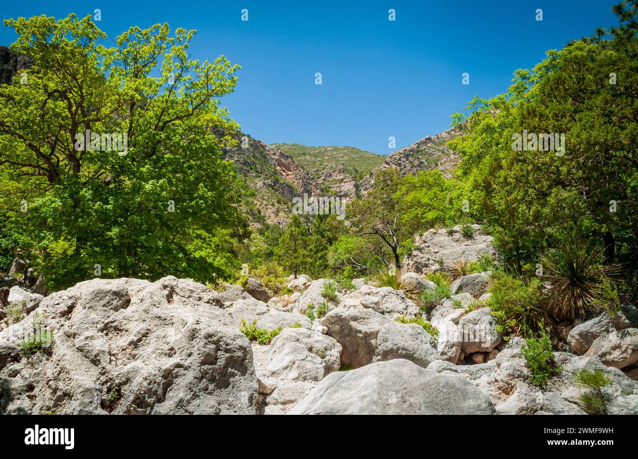 The Devil's Hall Trail at Guadalupe Mountains National Park in Western ...