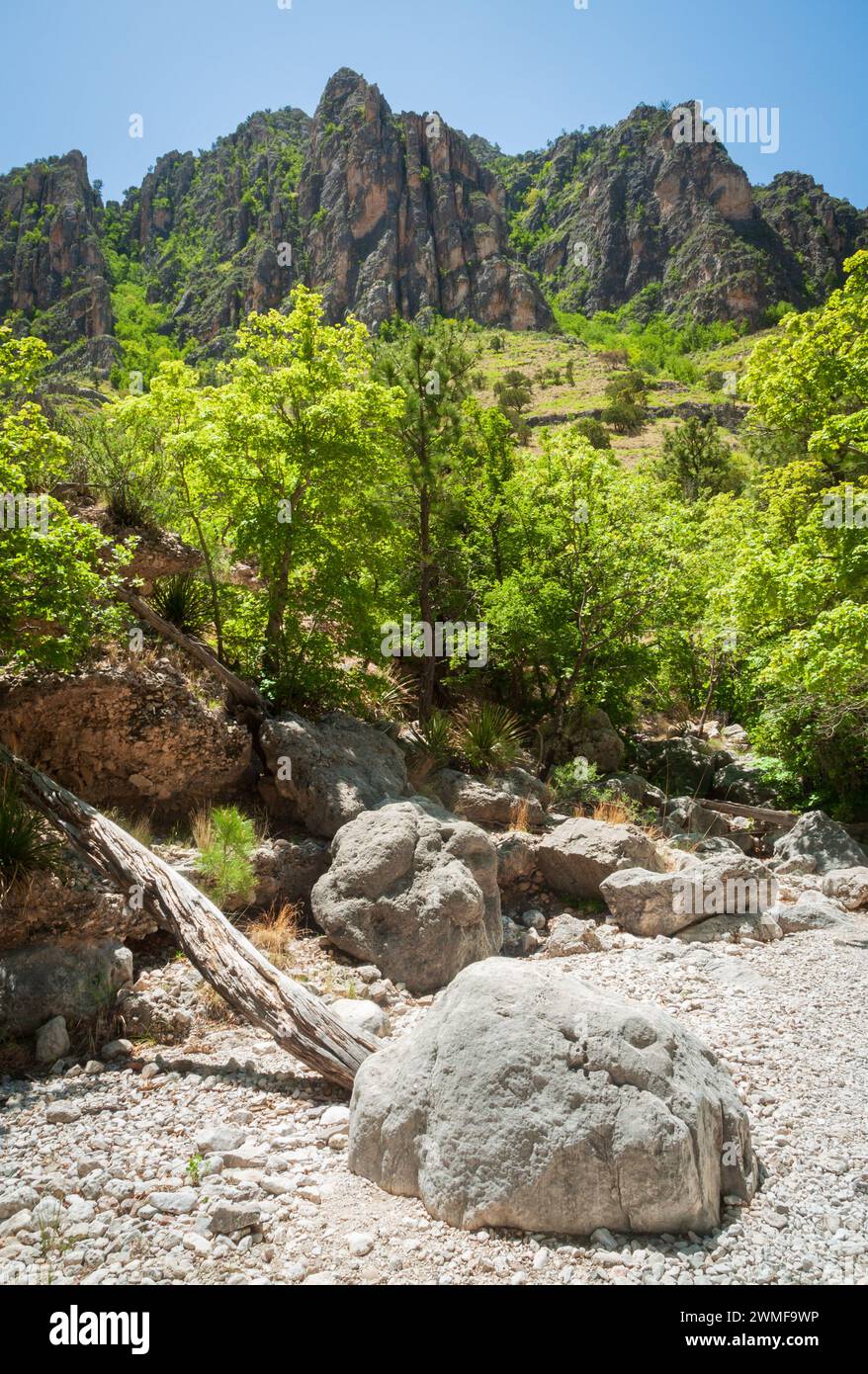 The Devil's Hall Trail at Guadalupe Mountains National Park in Western ...
