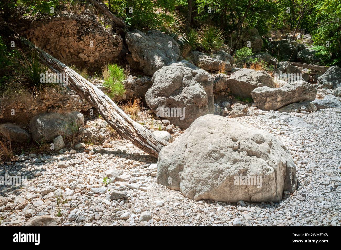 The Devil's Hall Trail at Guadalupe Mountains National Park in Western ...