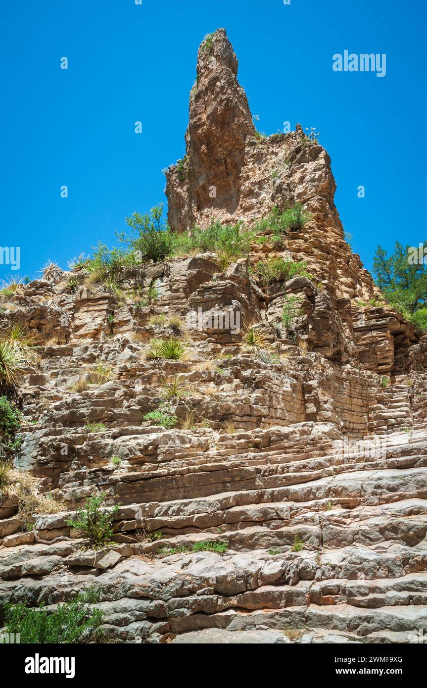 Fossil reef texas hi-res stock photography and images - Alamy