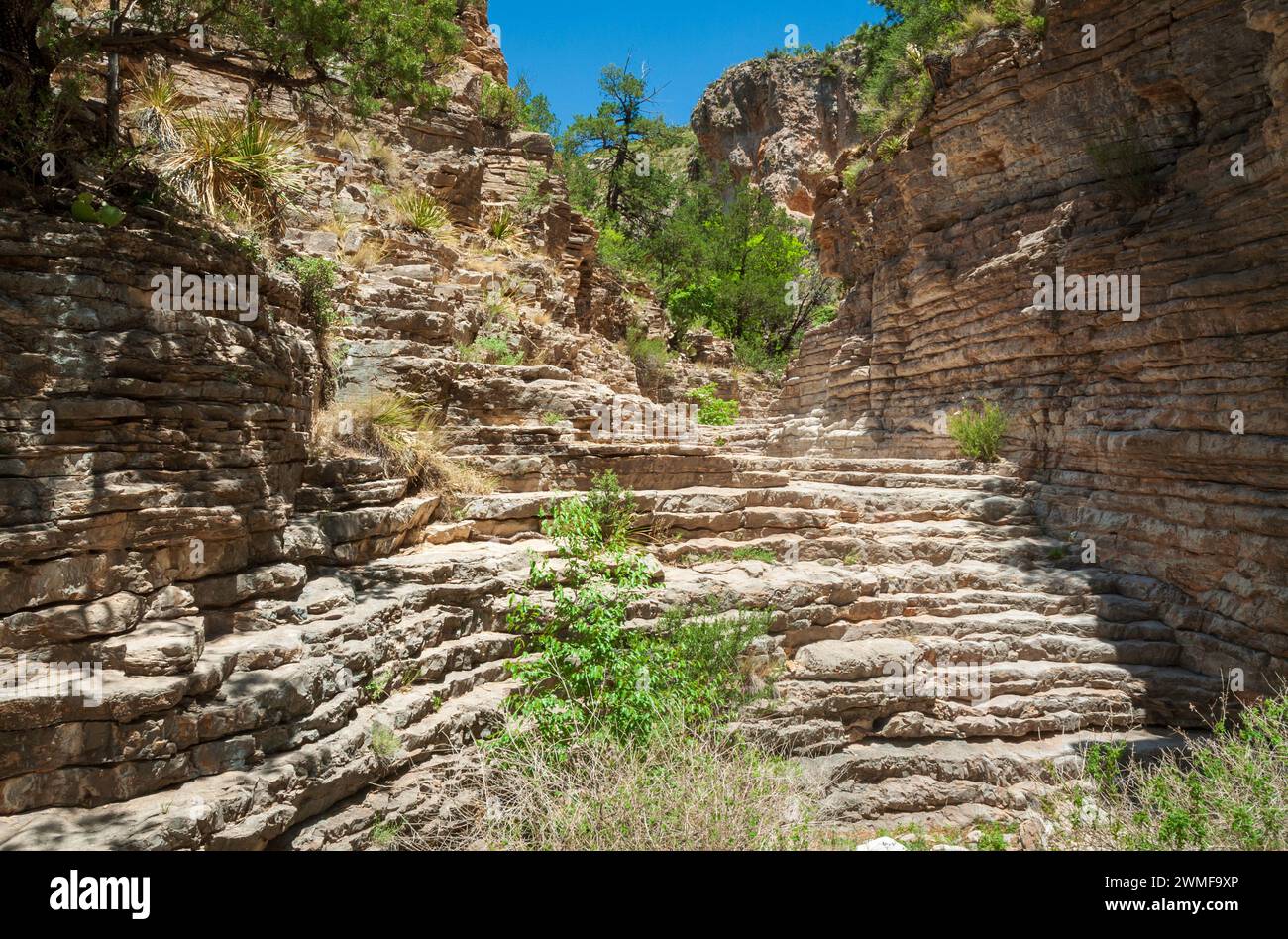 The Devil's Hall Trail at Guadalupe Mountains National Park in Western ...