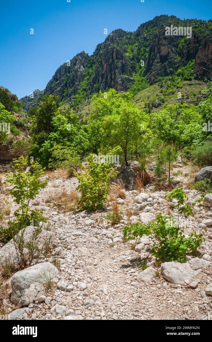 The Devil's Hall Trail at Guadalupe Mountains National Park in Western ...