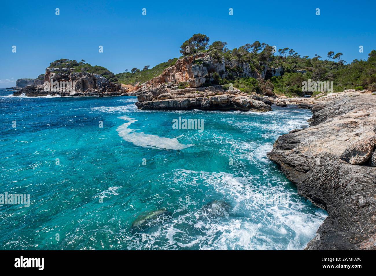 Maquer hi-res stock photography and images - Alamy