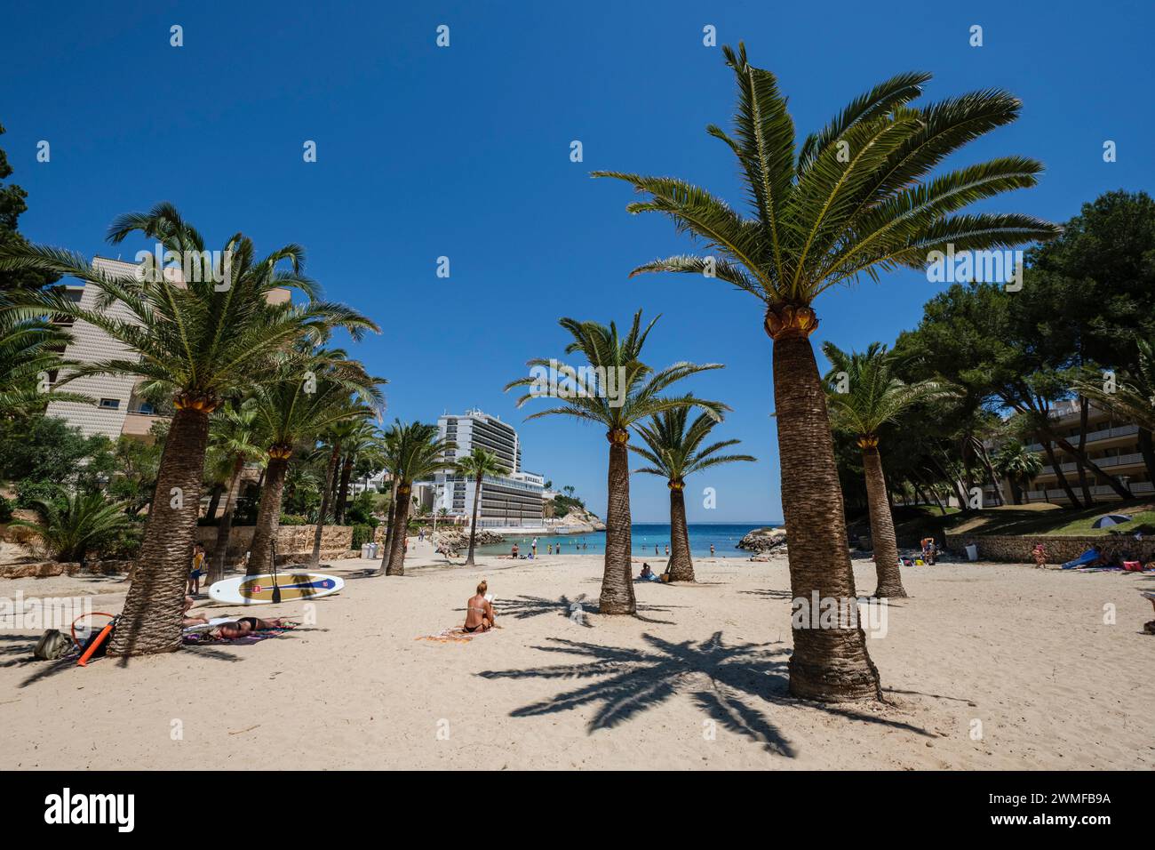 Cala Vinyes, Calvia, Mallorca, Balearic Islands, Spain Stock Photo - Alamy