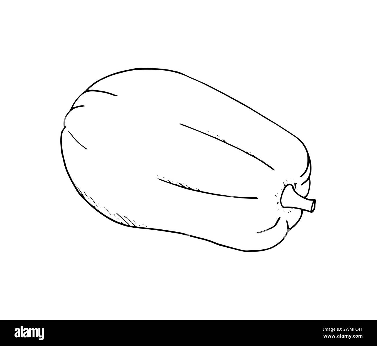 Hand-drawn papaya illustration. Simple doodle fruit. Tropical fruit ...