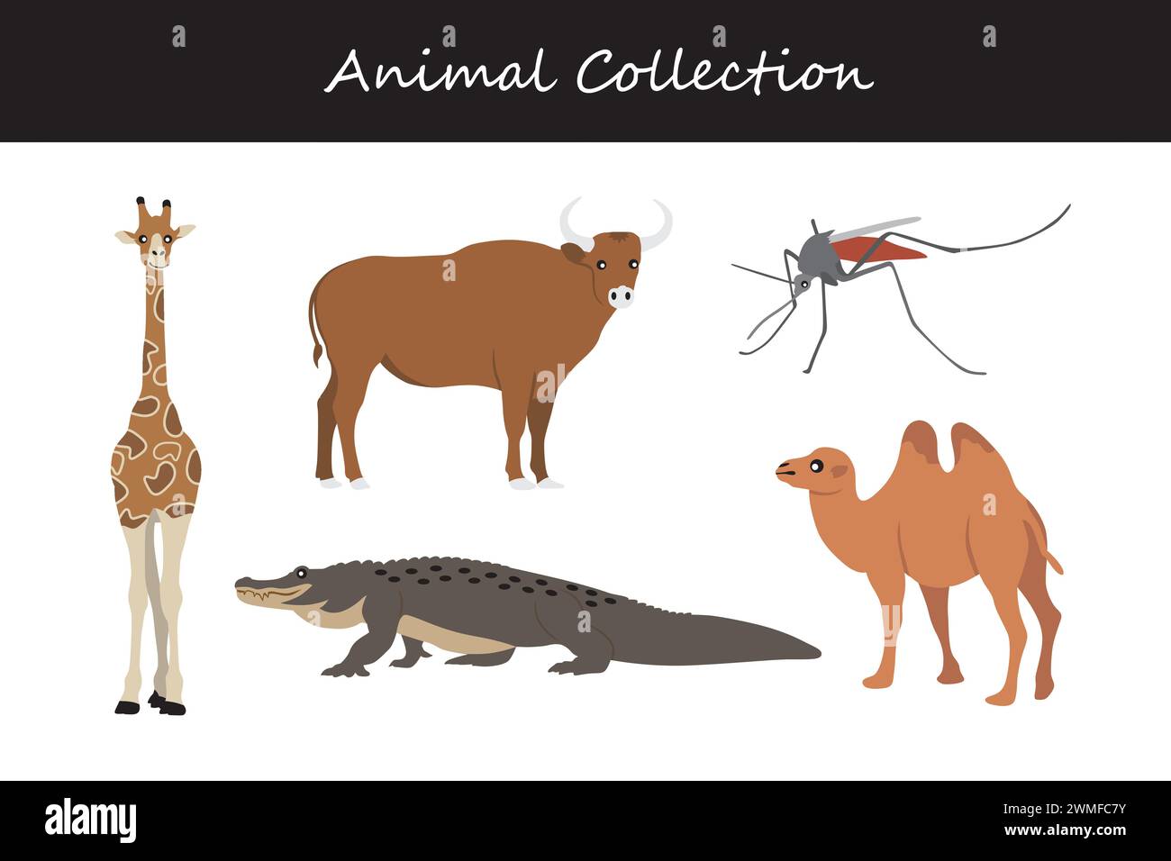 Animal collection. Cartoon style. Vector illustration isolated on white ...