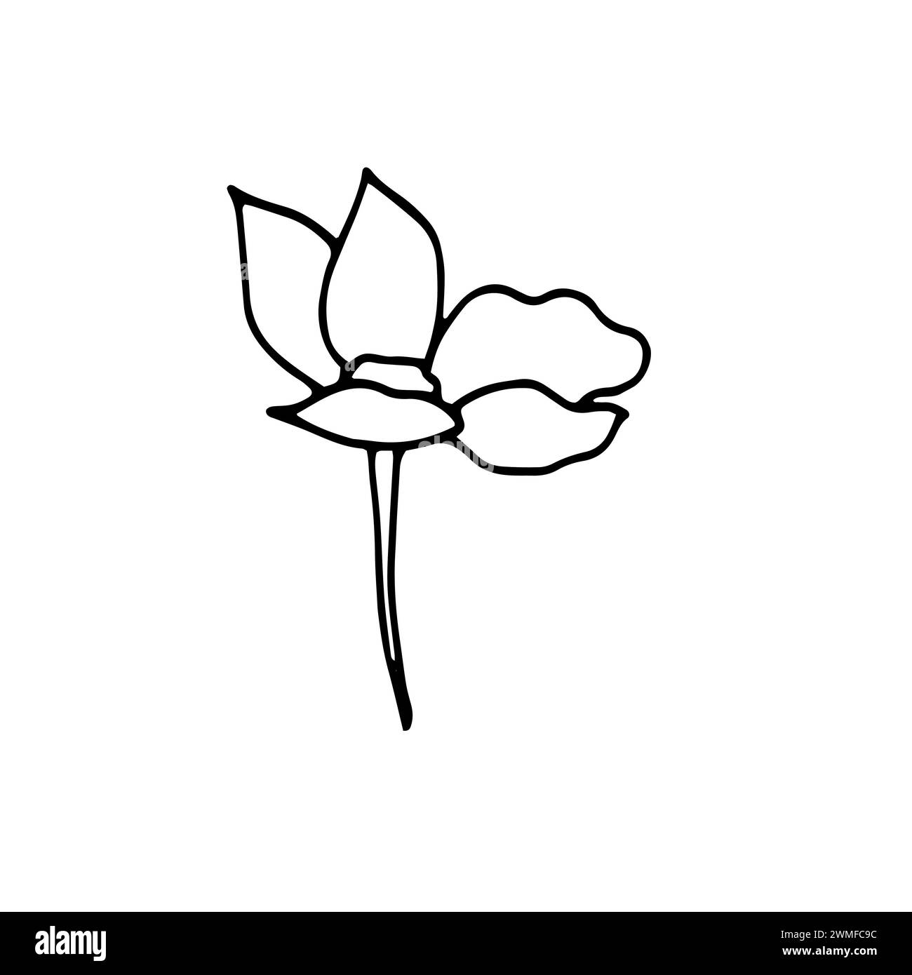Hand-drawn Single spring flower. Botanical element for design, postcard ...