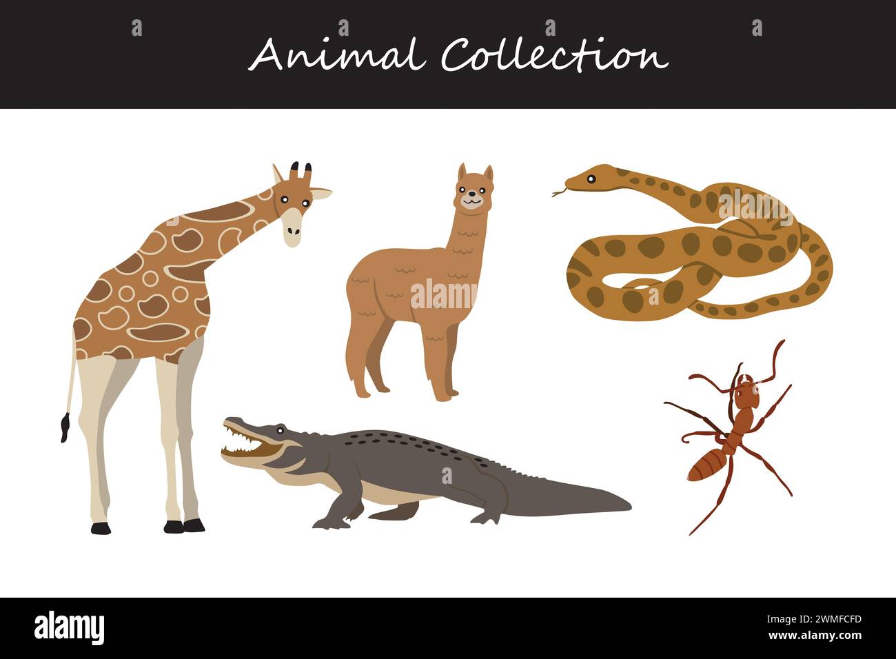 Animal collection. Cartoon style. Vector illustration isolated on white ...