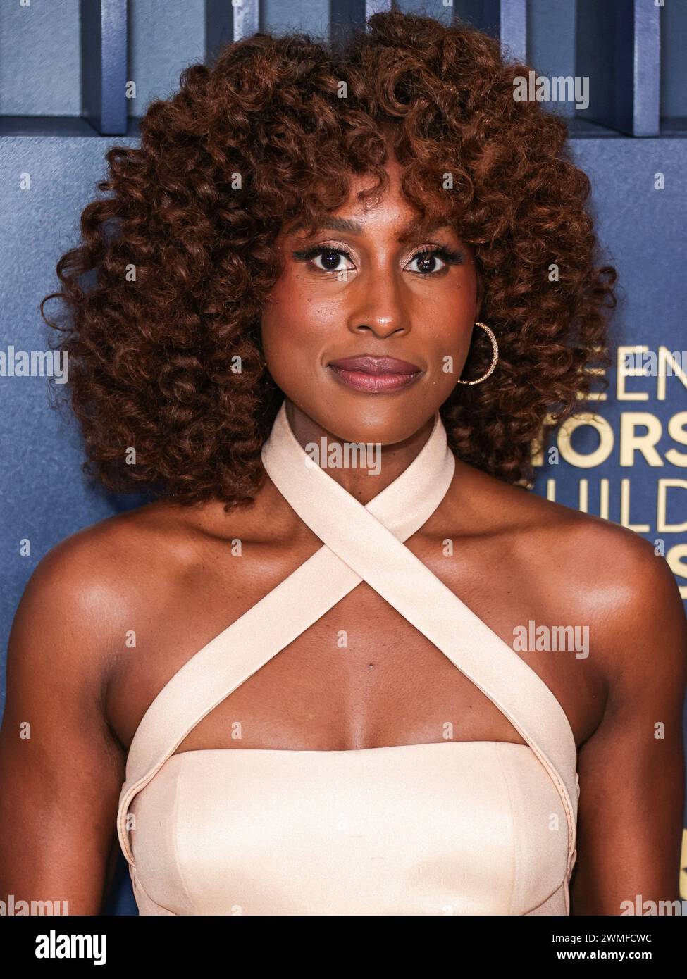 LOS ANGELES, CALIFORNIA, USA - FEBRUARY 24: Issa Rae wearing Suzanne ...