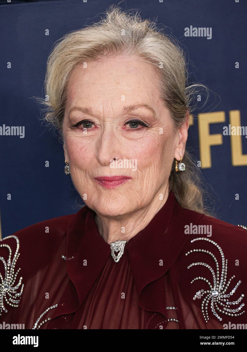 LOS ANGELES, CALIFORNIA, USA - FEBRUARY 24: Meryl Streep wearing Prada ...