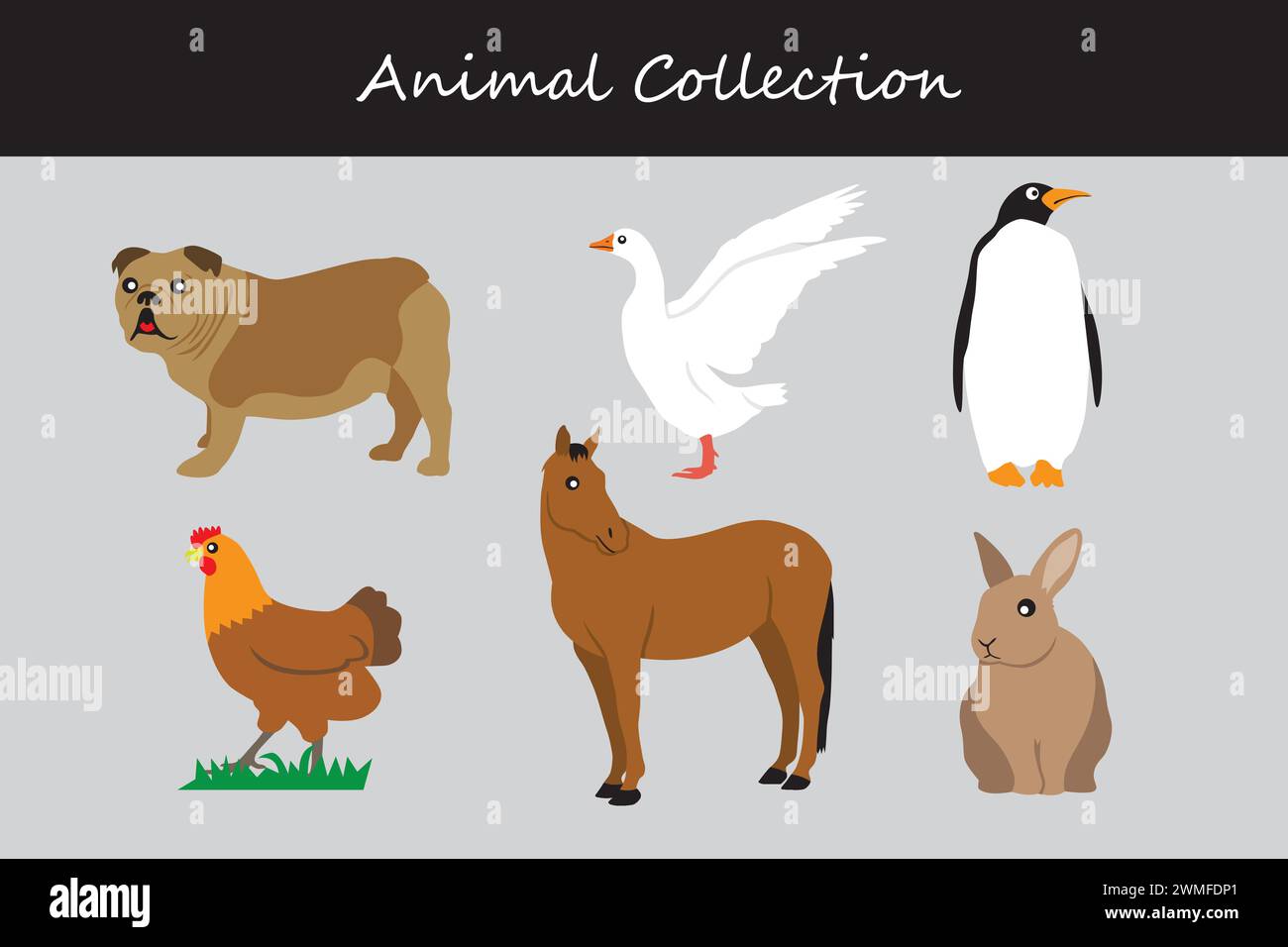 Animal collection. Cartoon style. Vector illustration isolated on color ...