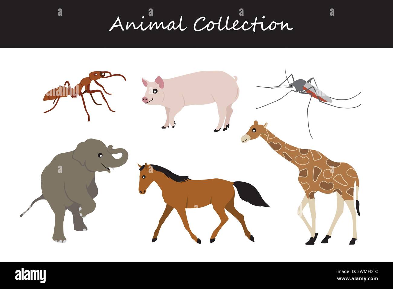 Animal collection. Cartoon style. Vector illustration isolated on white ...