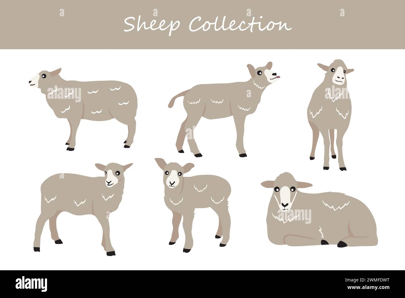 Sheep collection. Cute cartoon sheep. Vector illustration isolated on white background Stock ...