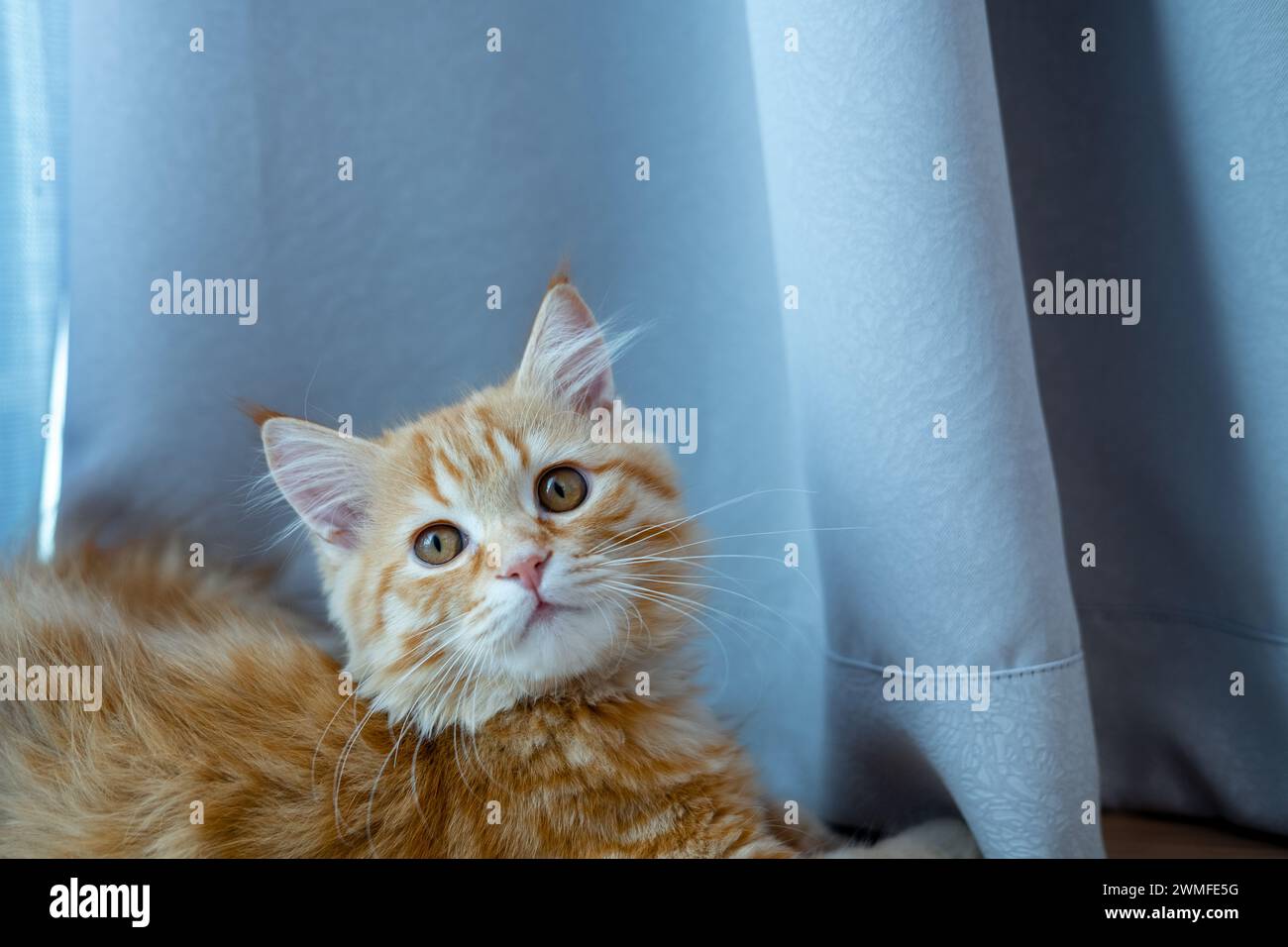 Affectionate poses hi-res stock photography and images - Alamy