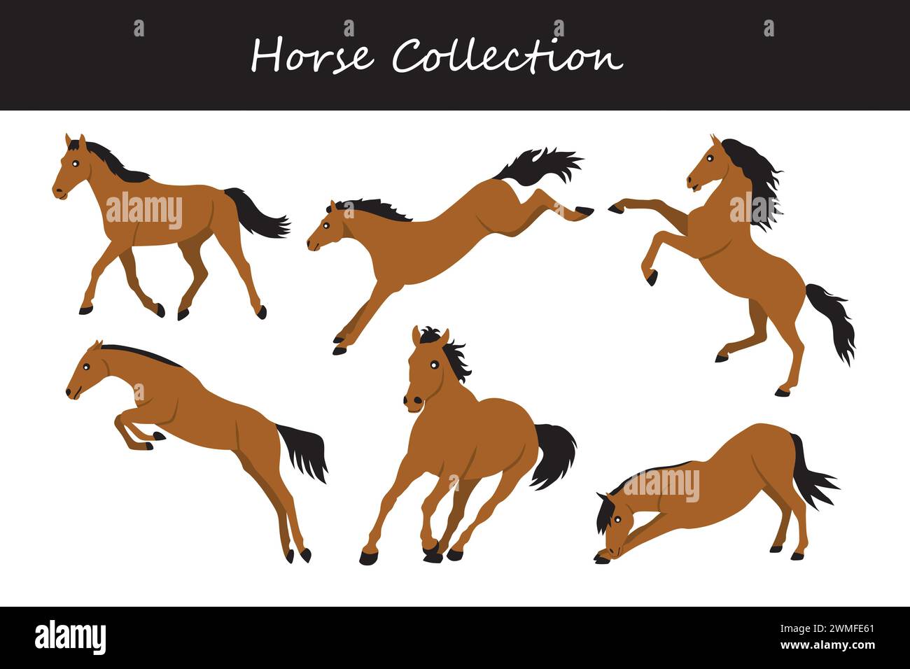 Horse vector illustration. Set of cartoon horses on white background ...