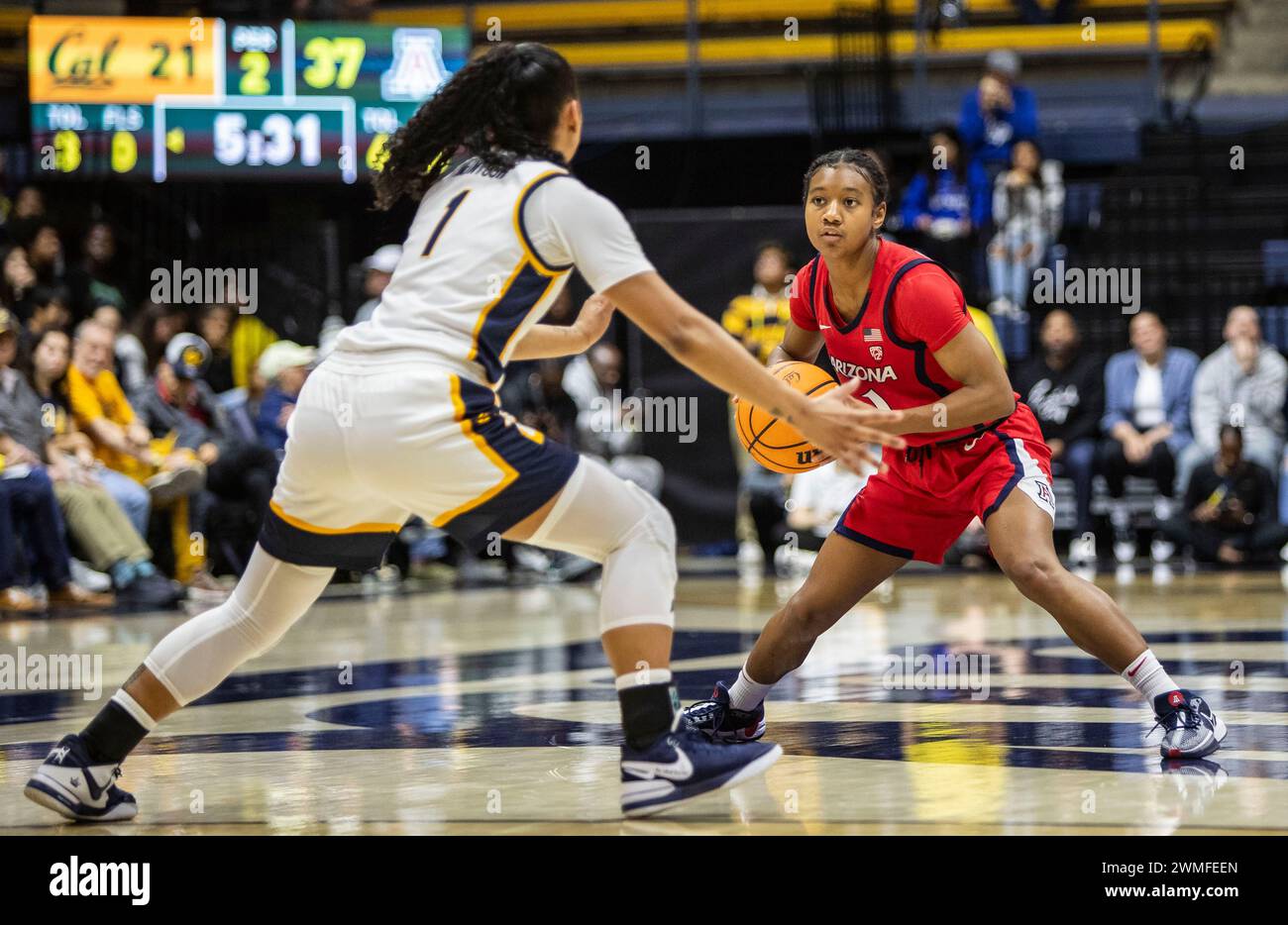 2024 0319 jpg hi-res stock photography and images - Alamy