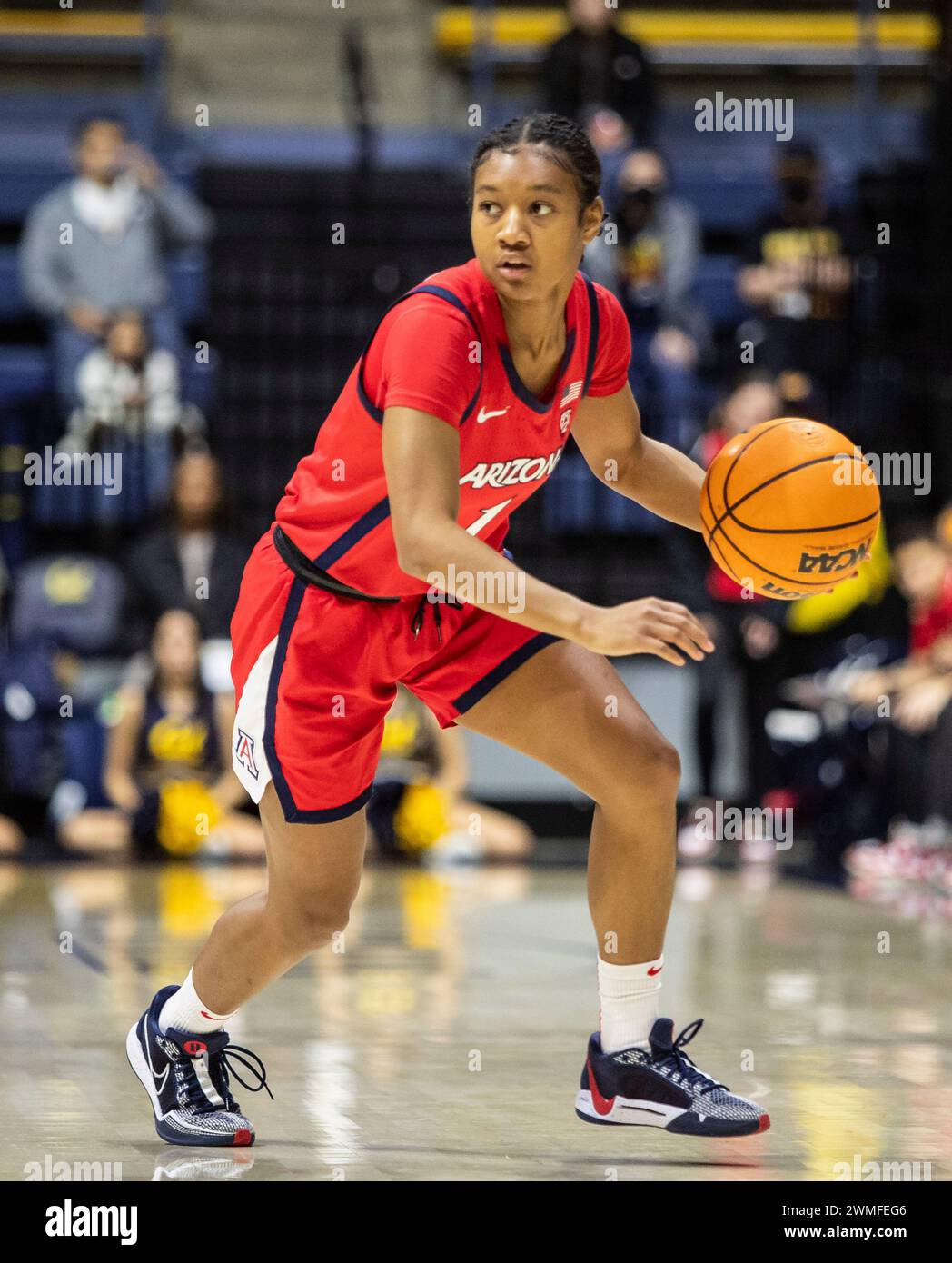 2024 0214 jpg hi-res stock photography and images - Alamy