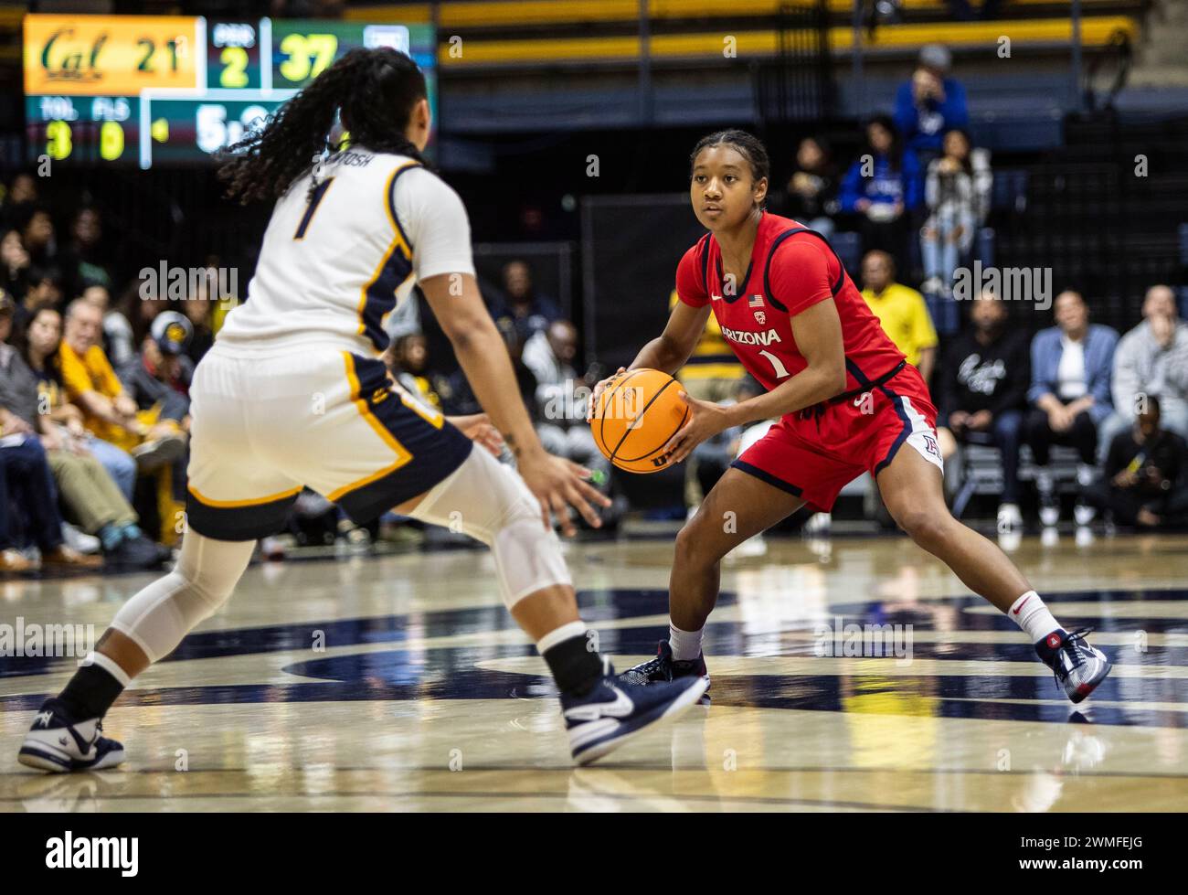 2024 0318 jpg hi-res stock photography and images - Alamy