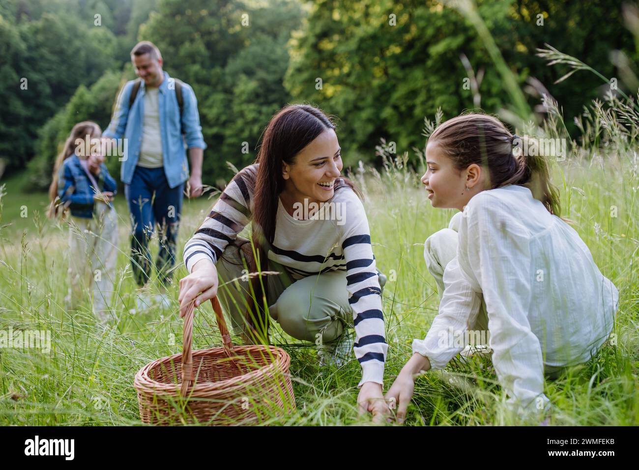 Family on interesting walk in forest, going through meadow. Mushroom ...