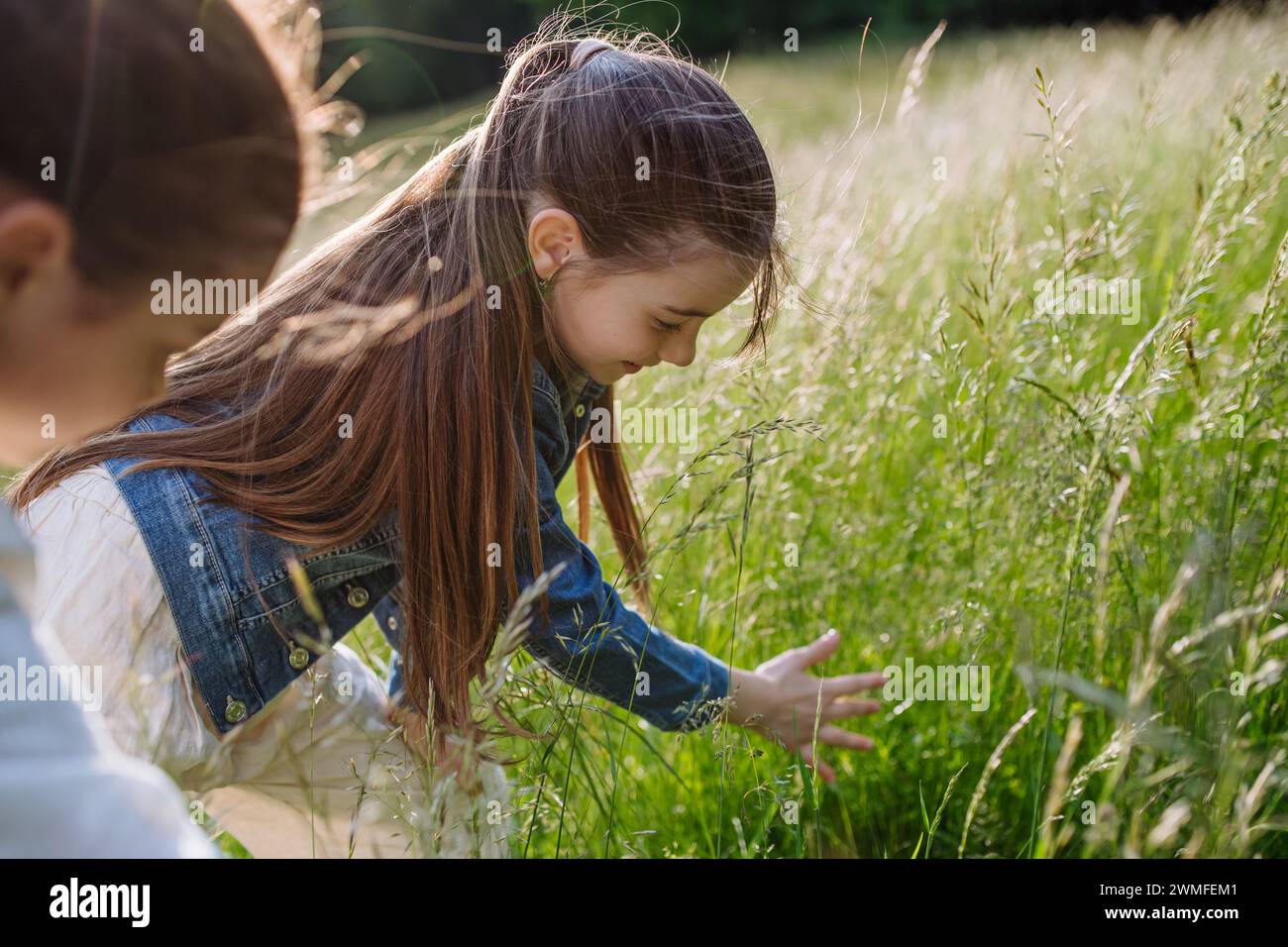 Sisters looking at ladybug, insect on grass, using magnifying glass ...
