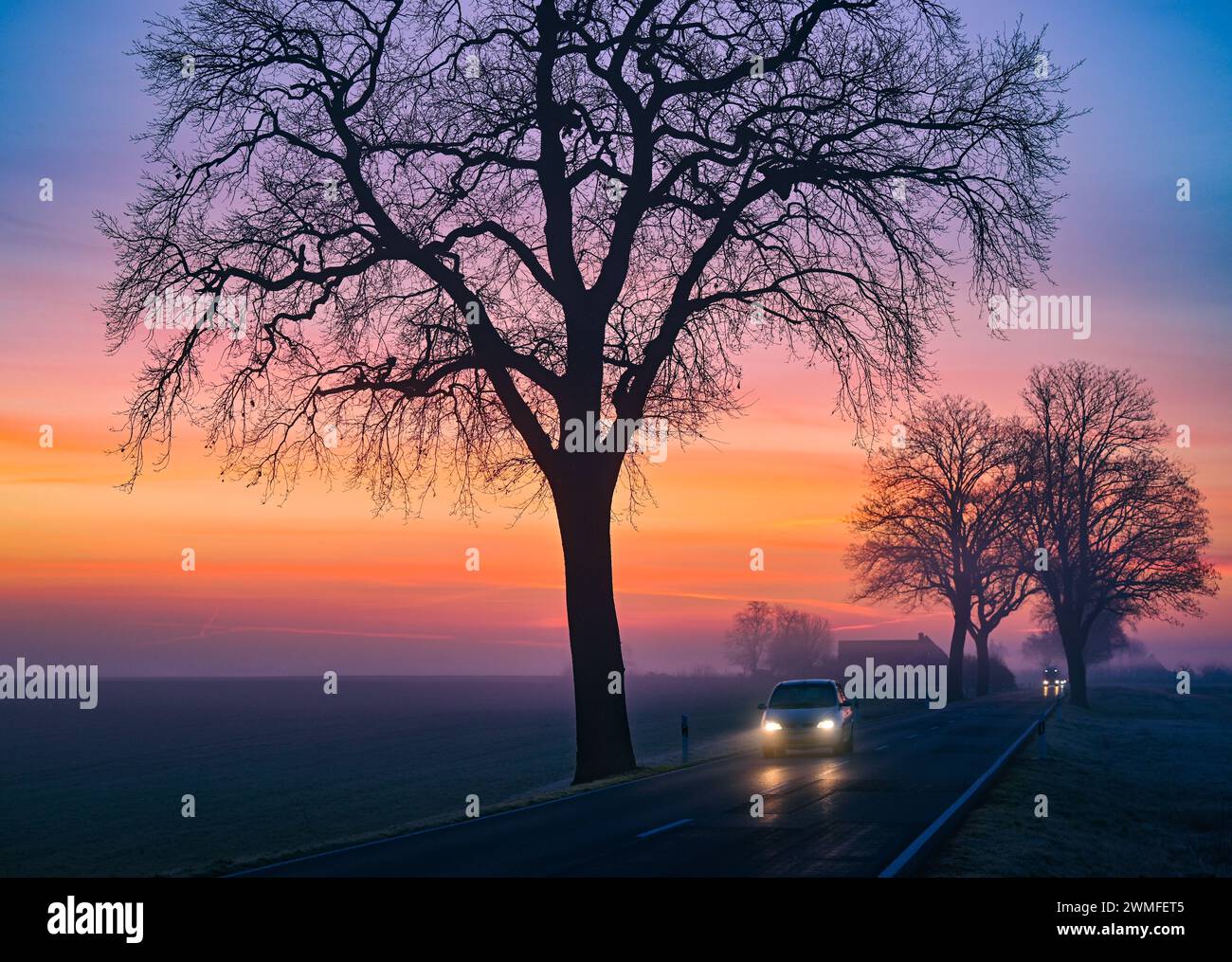 Lebus, Germany. 26th Feb, 2024. Vehicles are on the federal highway 167 ...