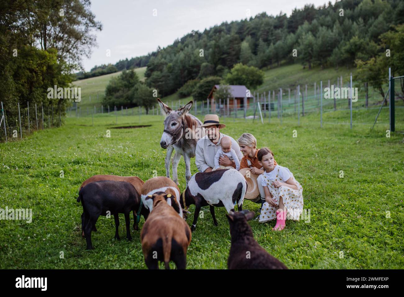 Portrait of farmer family petting animals on their farm Stock Photo - Alamy