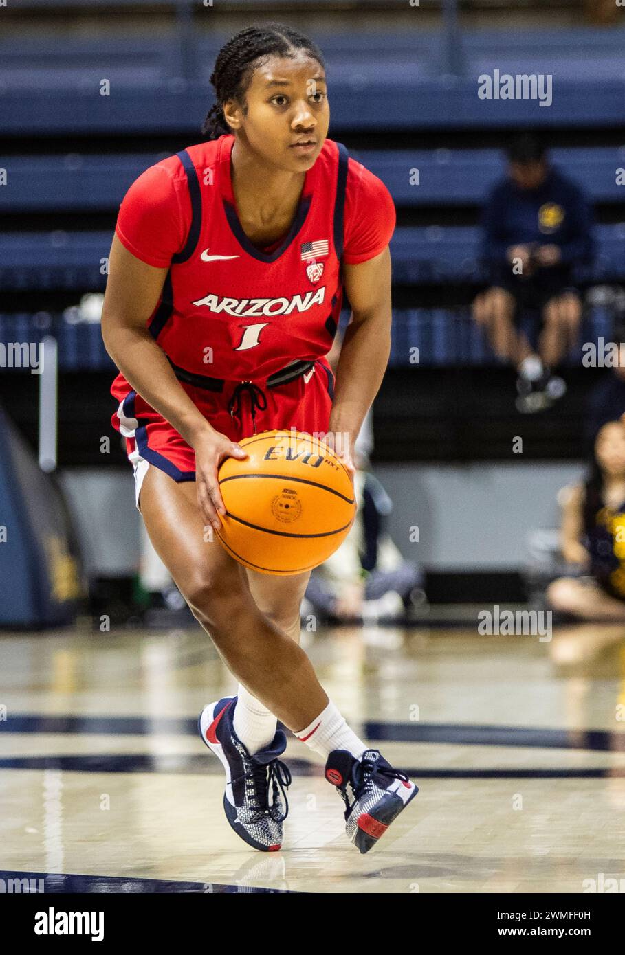 2024 0432 jpg hi-res stock photography and images - Alamy