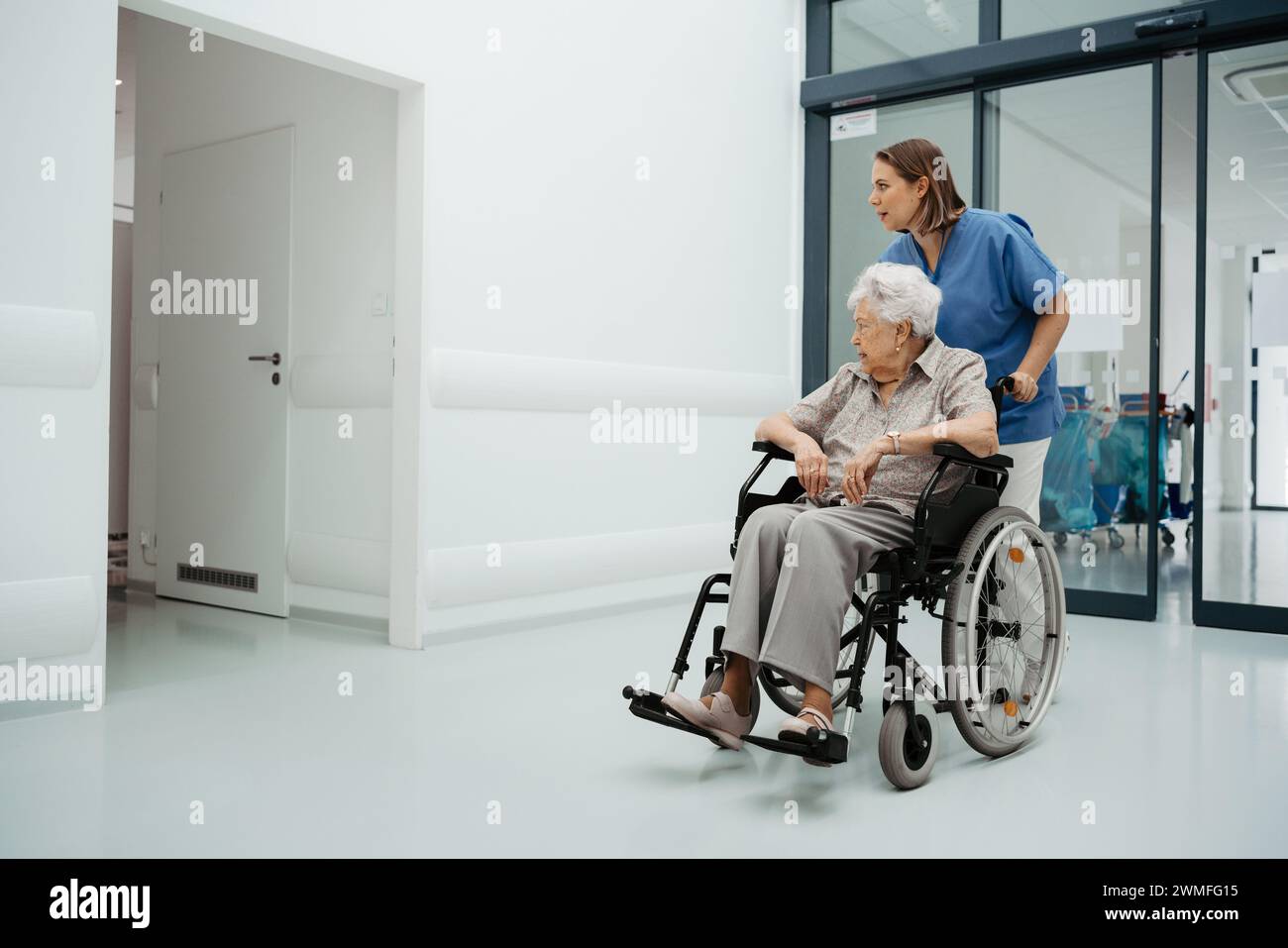 Portrait of nurse pushing senior patient in wheelchair across hospital ...