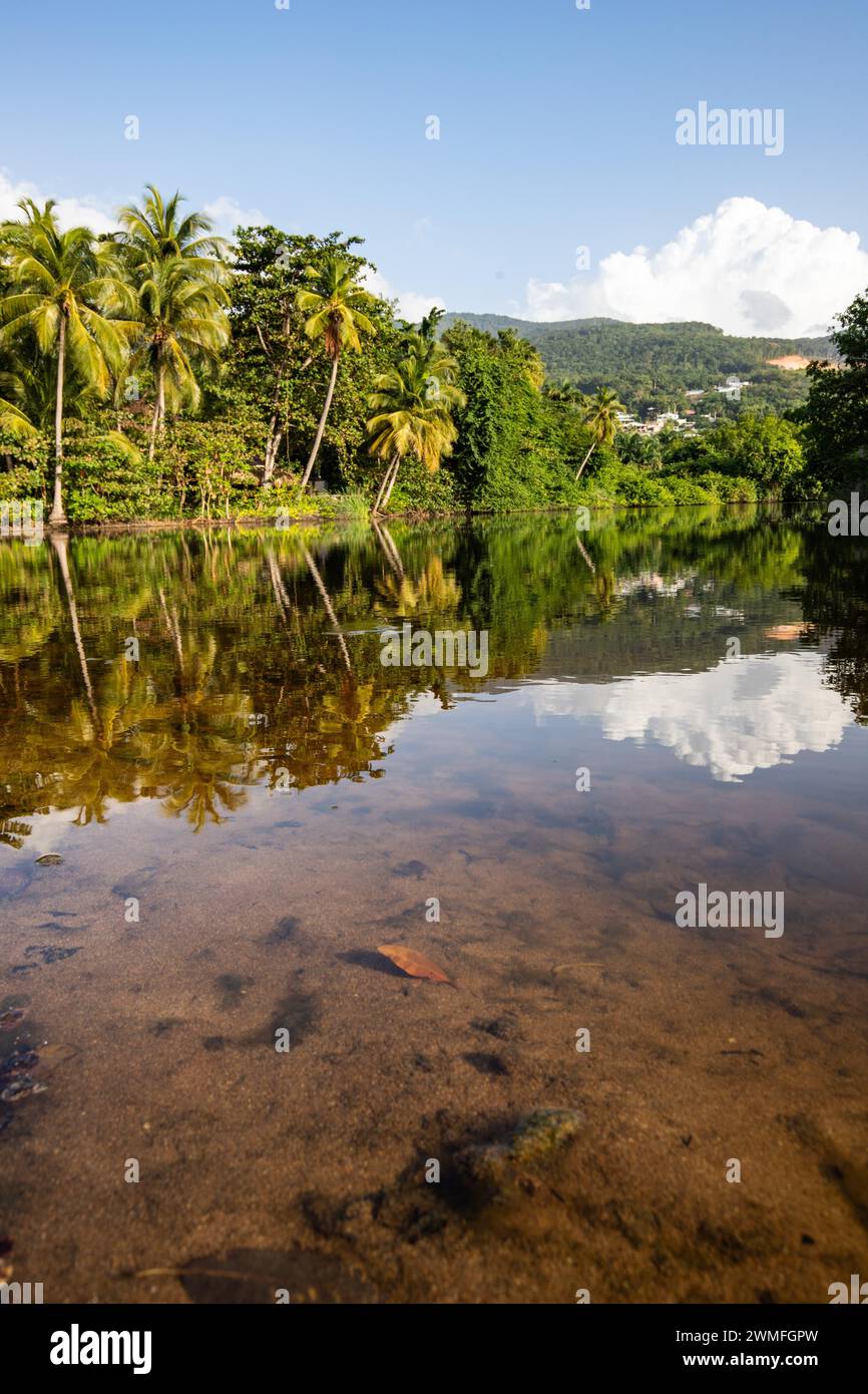 View of a river arm, a tropical mangrove landscape and the natural ...