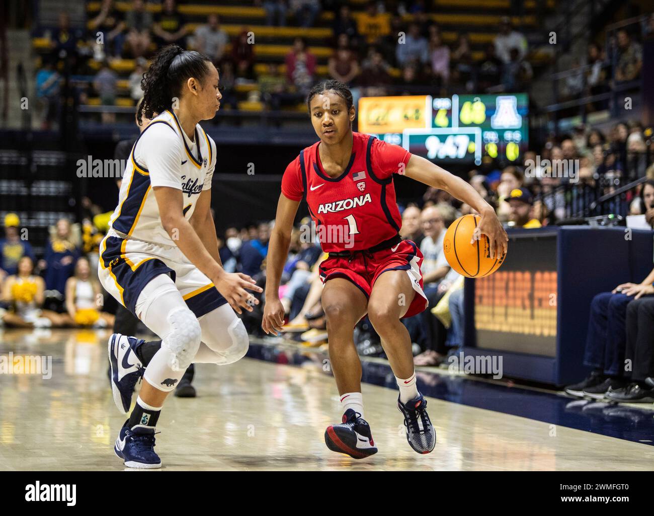 2024 0662 jpg hi-res stock photography and images - Alamy