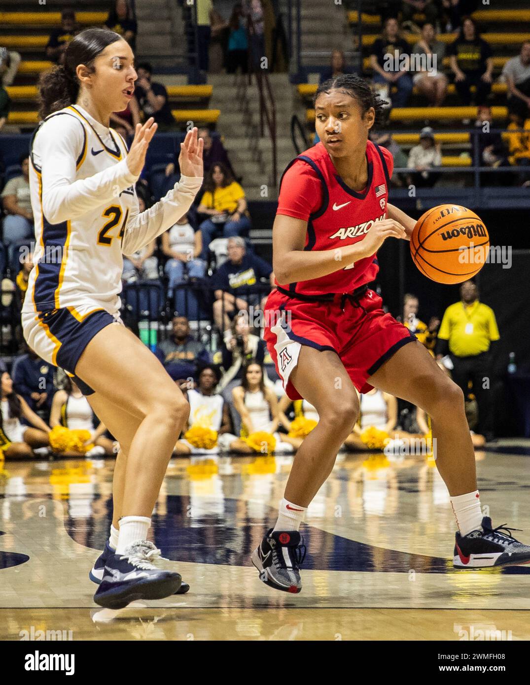 2024 0808 jpg hi-res stock photography and images - Alamy