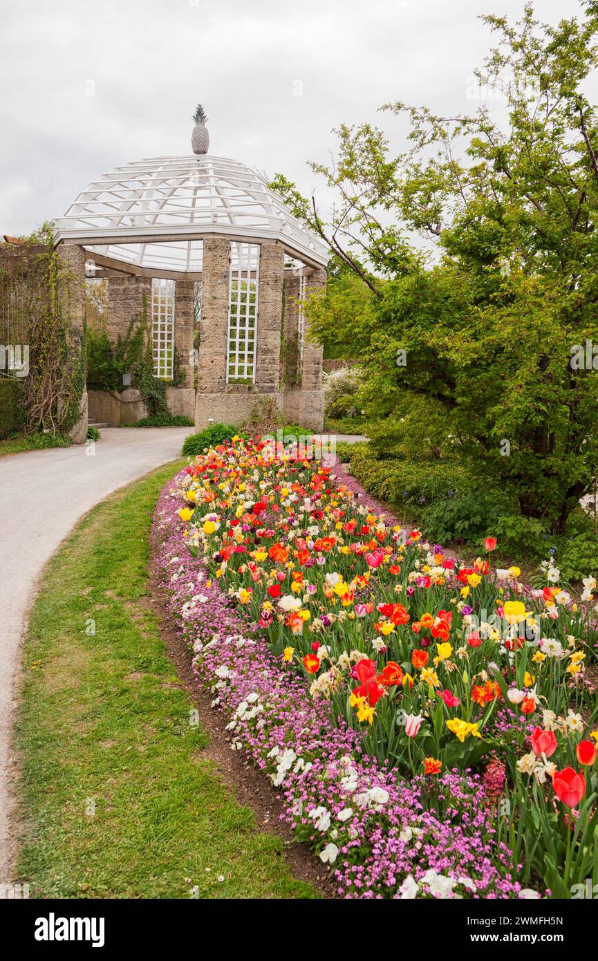 Botanical Garden, spring flowers, visitors, Munich, Bavaria, Germany ...