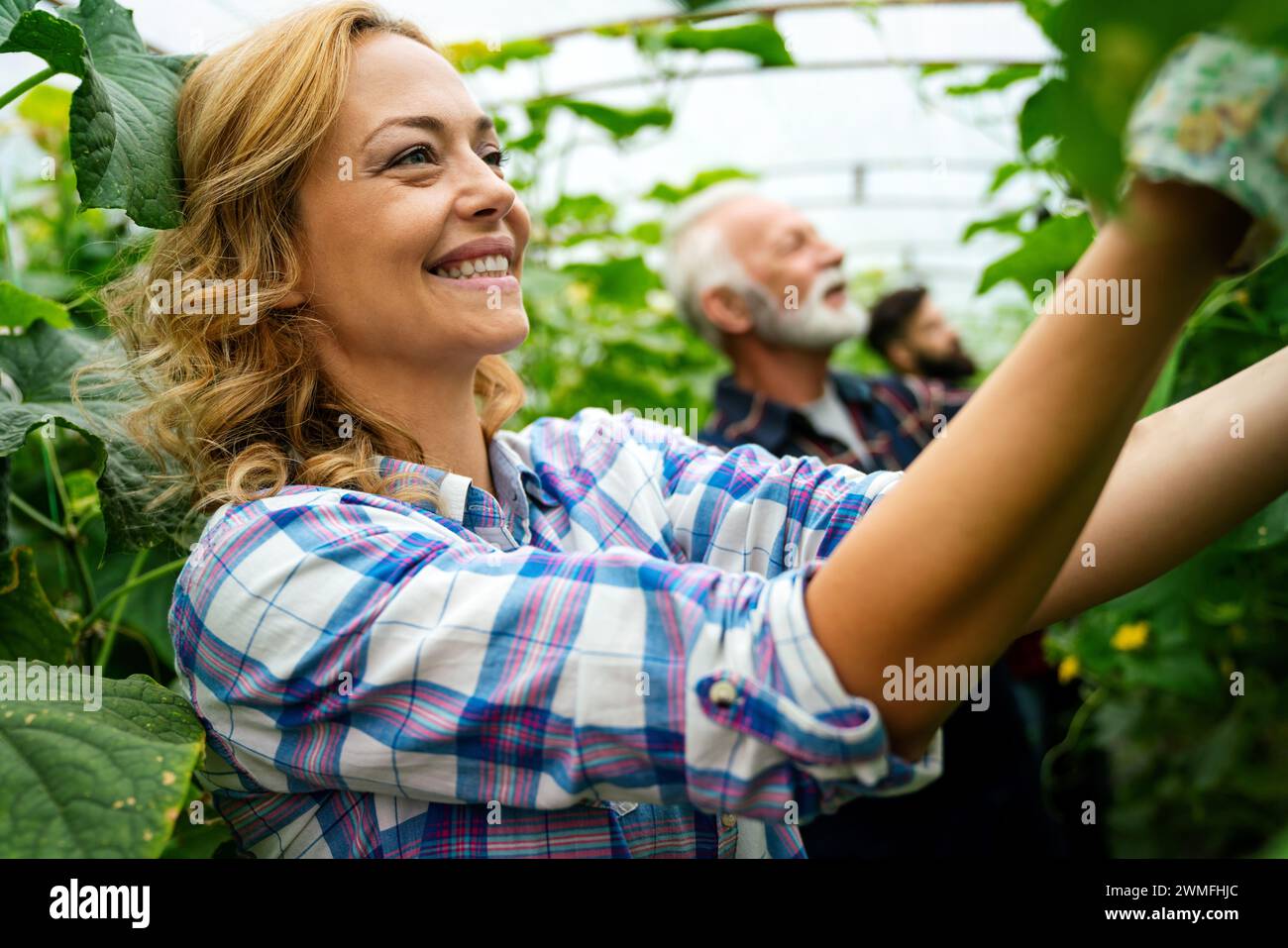 Multicultural family community garden hi-res stock photography and ...