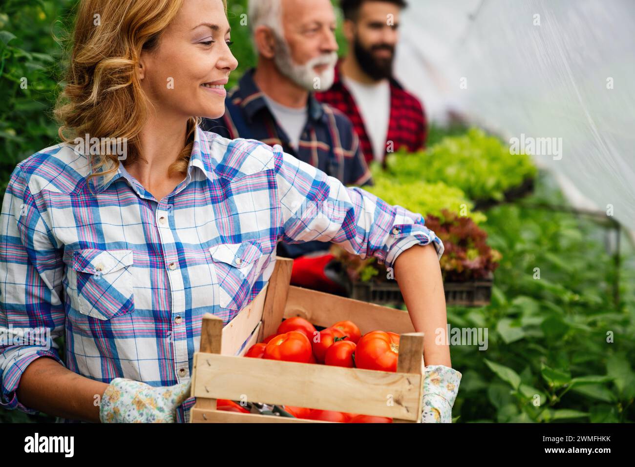 Multigenerational farming hi-res stock photography and images - Alamy