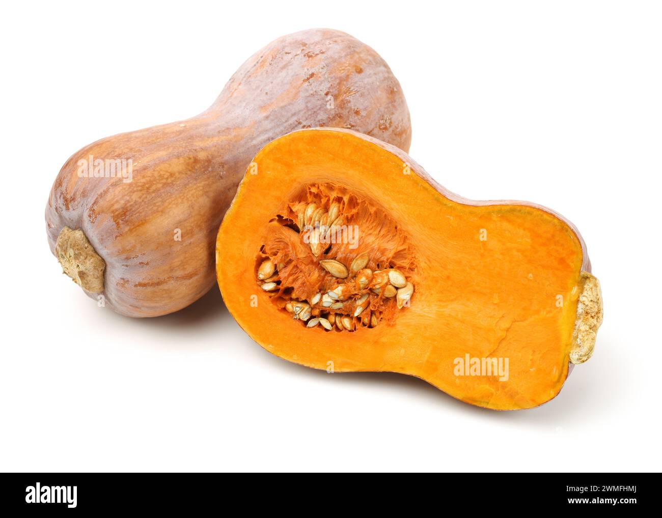 butternut squash isolated on white background Stock Photo - Alamy