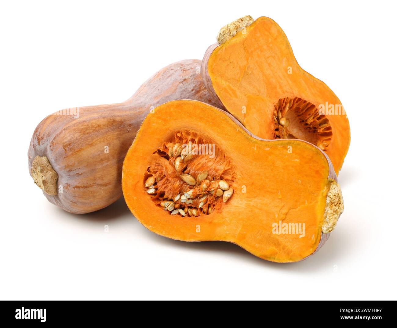 butternut squash isolated on white background Stock Photo - Alamy