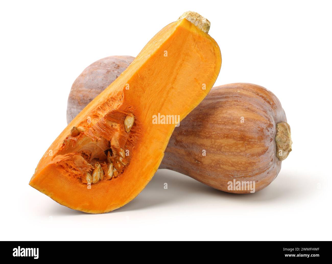 butternut squash isolated on white background Stock Photo - Alamy