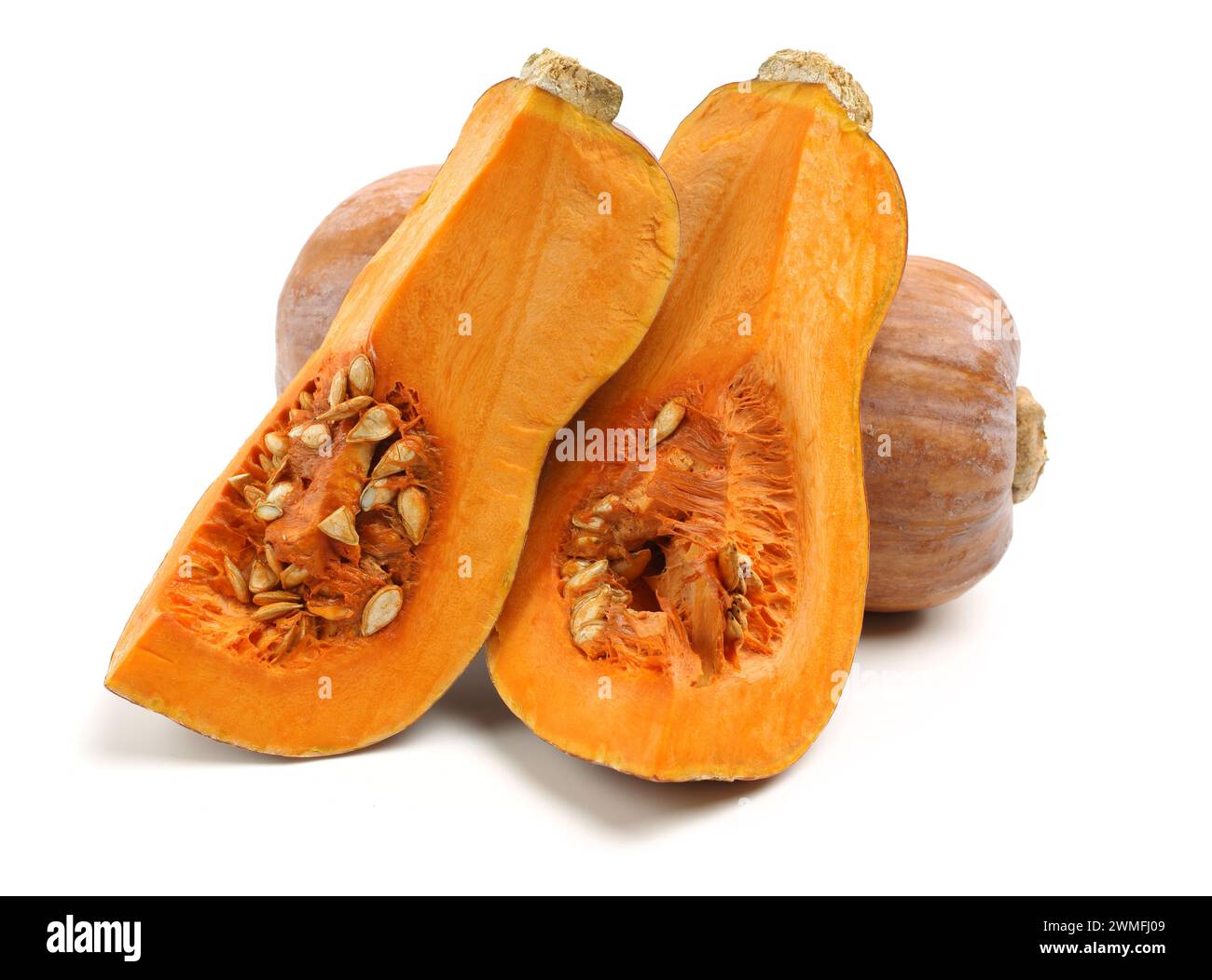 butternut squash isolated on white background Stock Photo - Alamy