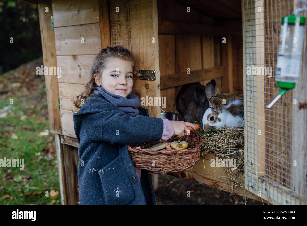 Girl feeding pet rabbit, giving it vegetables from the garden and old ...