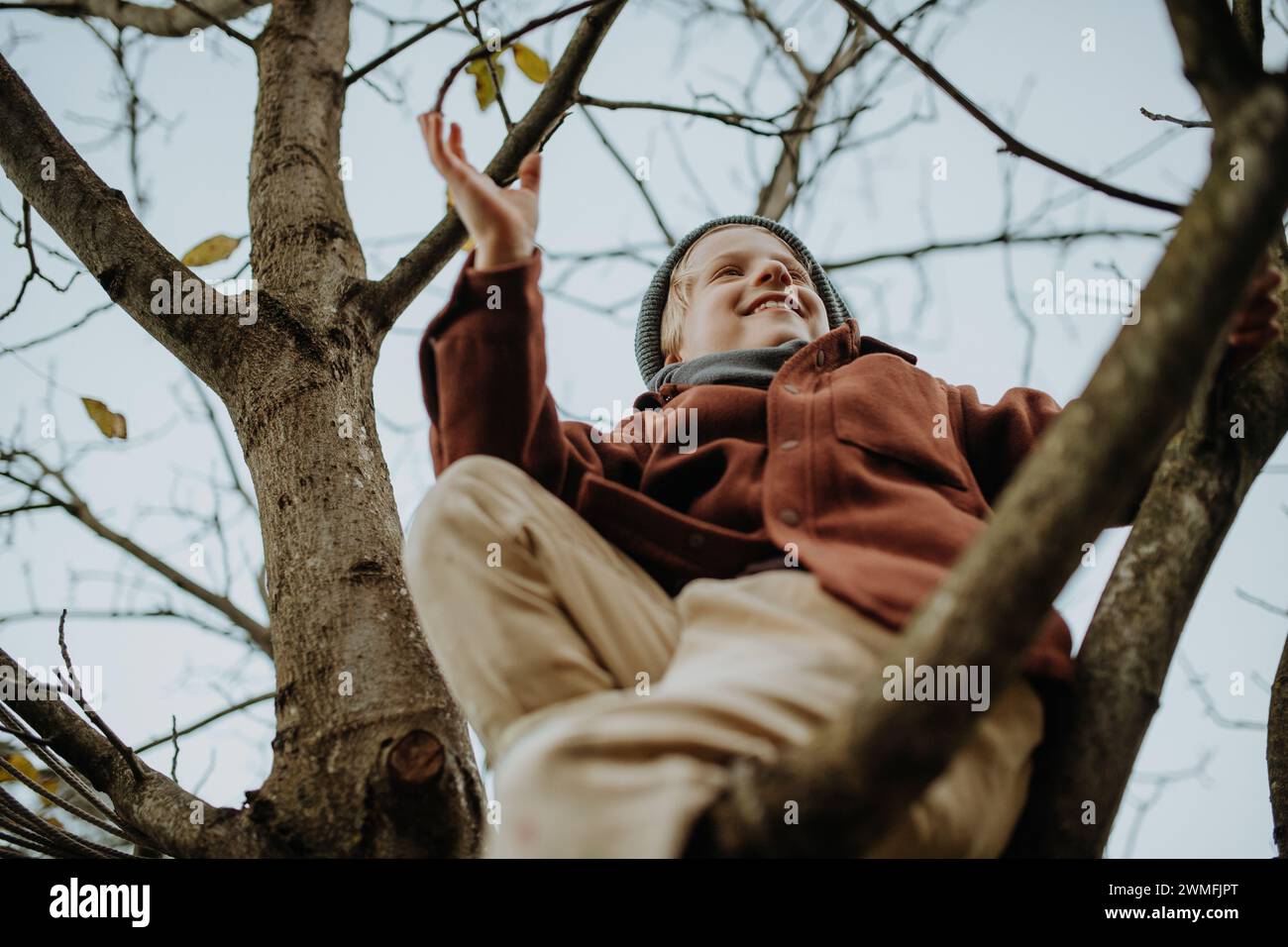 Happy boy playing on tree during first spring days. Kid climbing tree ...