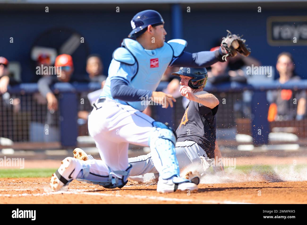 Lipcius hi-res stock photography and images - Alamy