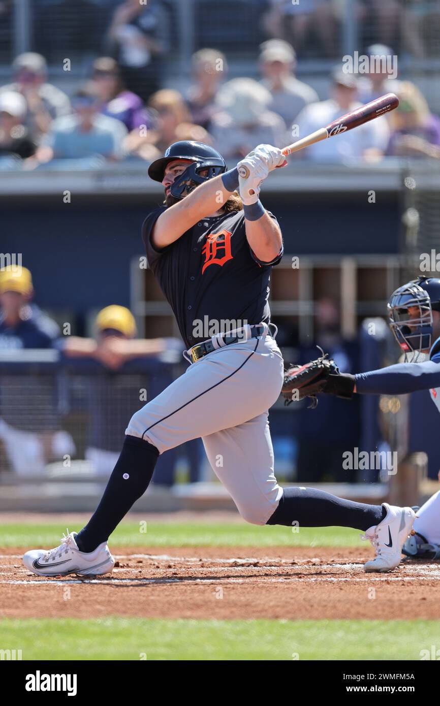 Port Charlotte, FL: Detroit Tigers right fielder Ryan Village (71) hits ...