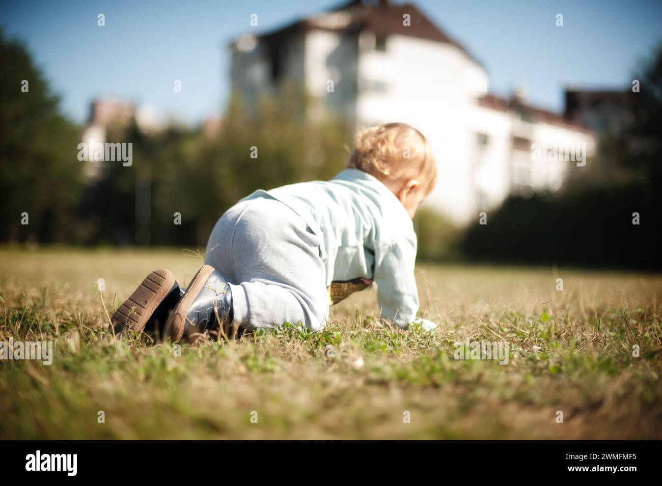 Cute baby boy is joyfully crawling on the fresh green grass, exploring ...