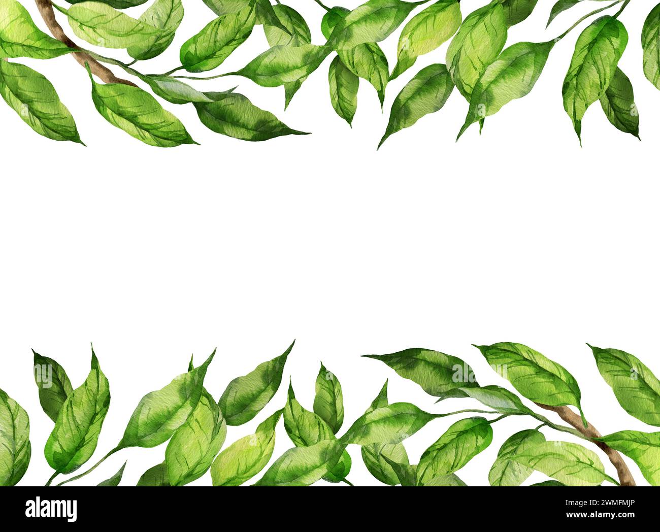 watercolor horizontal frame with illustration of green leaves on a ...
