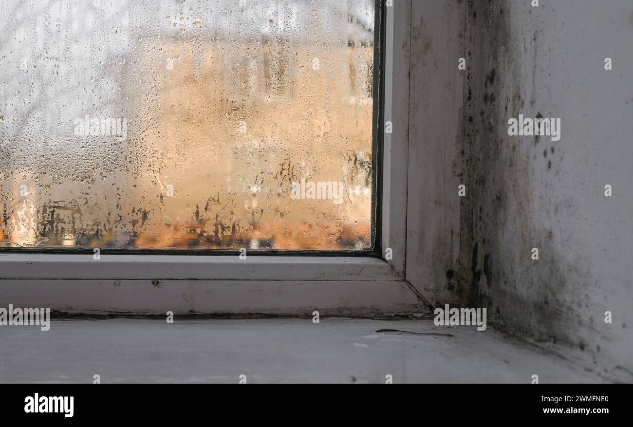 mold and mildew appear on a wet window Stock Photo - Alamy