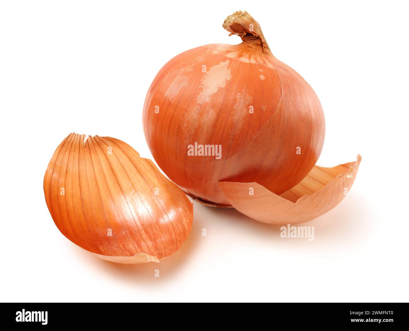 Gold onion vegetable bulbs on white background Stock Photo - Alamy